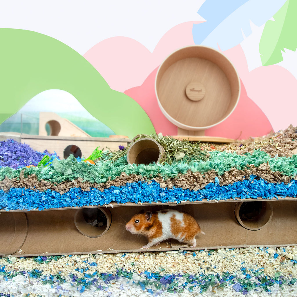 Niteangel Hamster Cardboard Paper Tunnel Set - DIY & Build Unique Tube ...